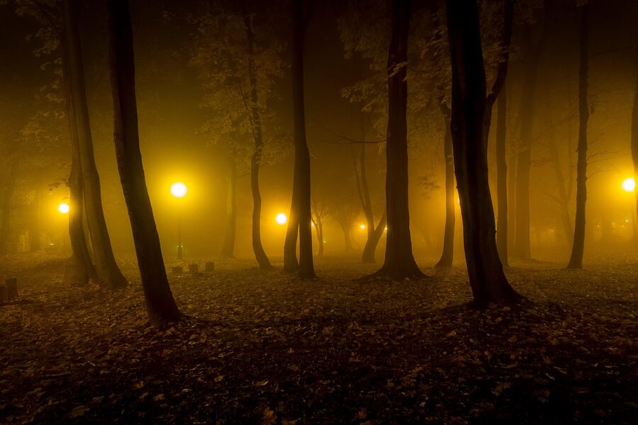Foggy night path with lantern glow