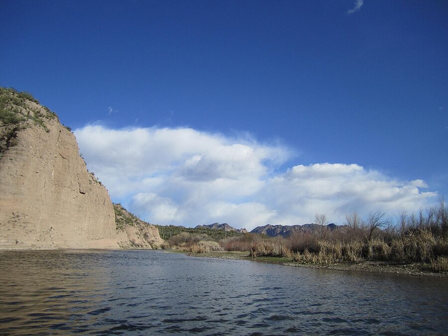 Bald eagle nesting habitat along the Lower Salt River