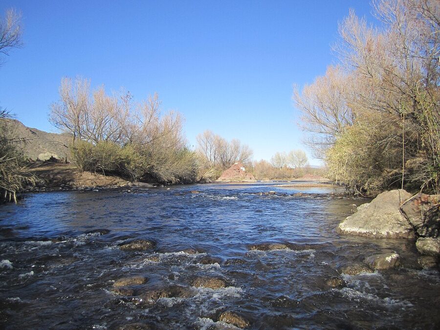 Channel divergence on the Lower Salt River