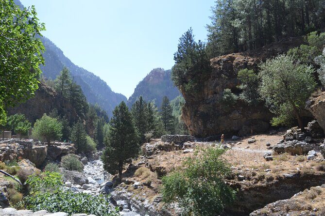 Samaria Gorge Hiking Tour from Chania with Professional Guide - Transportation and Logistics: What It Means for You