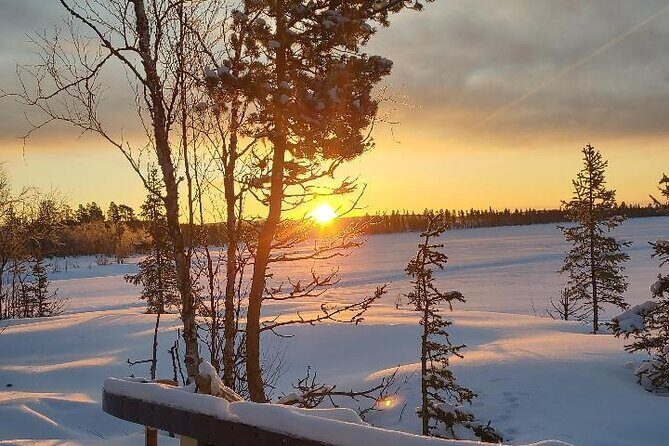 Sami day tour adventure - What Reviewers Say