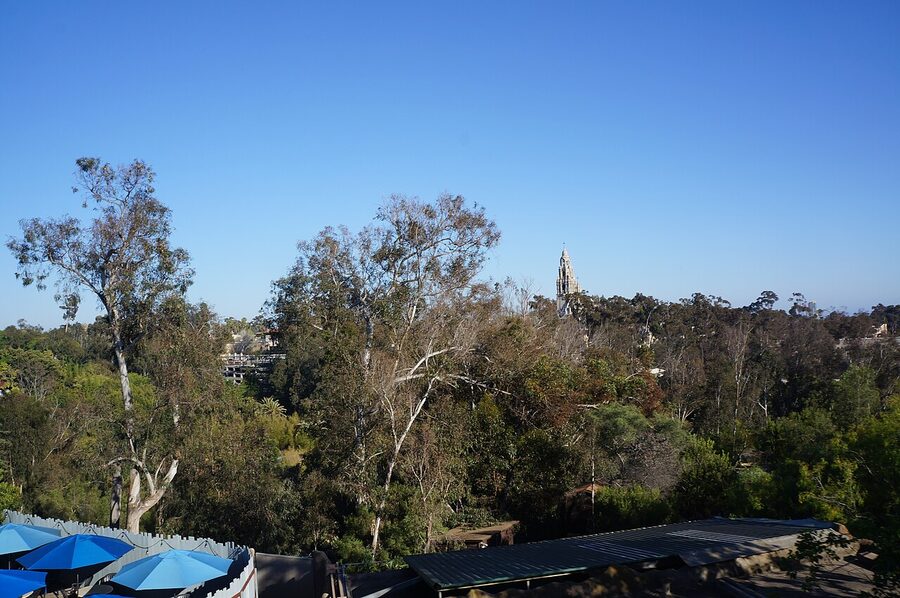 View of the San Diego Zoo canyons from the Skyfari aerial tram
