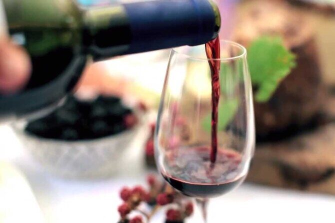 San Gimignano and Winery Experience with Light Lunch from Lucca - Practical Details and Considerations