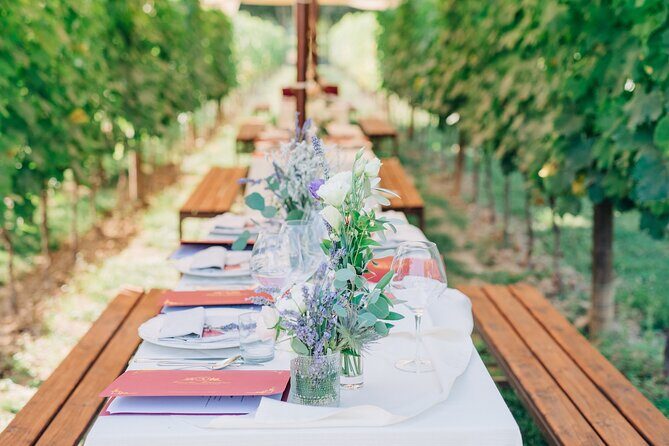 San Gimignano Romantic Dinner in the Vineyards - Is It Worth the Price?