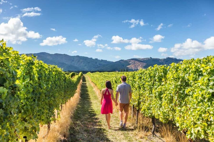San Gimignano: Vineyard Walk with Wine Tasting in winery - Exploring the Vineyard Walk and Wine Tasting in Tuscany