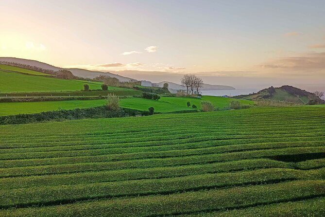 San Miguel: Private Tour All in One Highlights at your pace! - Practical Aspects of the Tour