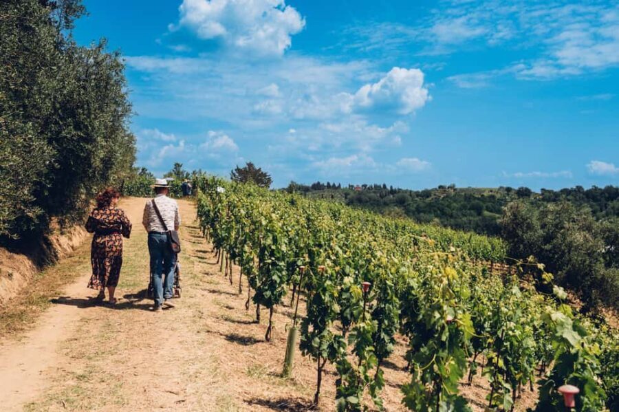 San Miniato: Organic Wine Tour & Tasting at a Family-Winery - Who Will Love This Tour?