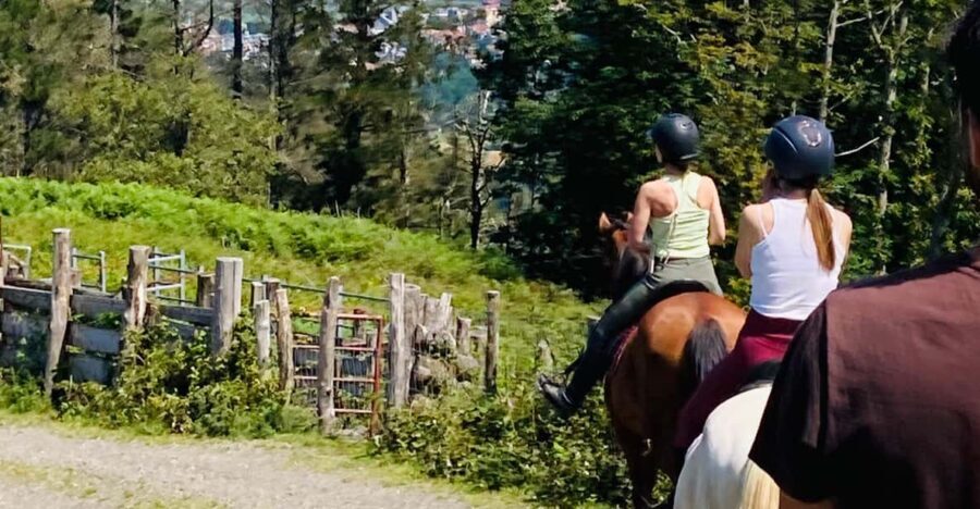 San Sebastian: Horseback Riding & Traditional Delights - Practical Details: What You Need to Know