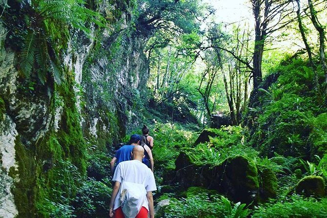 San Sebastián Surf House Accommodation with Meals Included - Who Will Love This Tour?