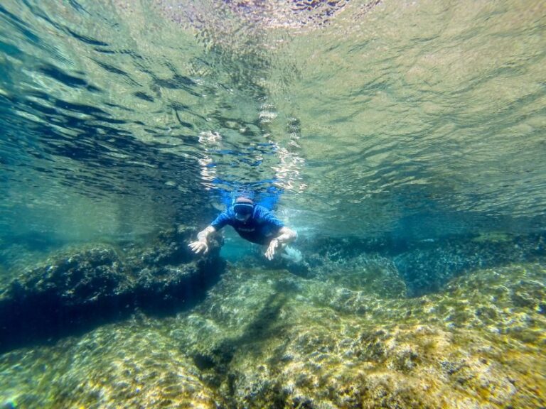 San Terenzo: Portovenere Natural Park Snorkeling Trip - A Detailed Breakdown of the Experience