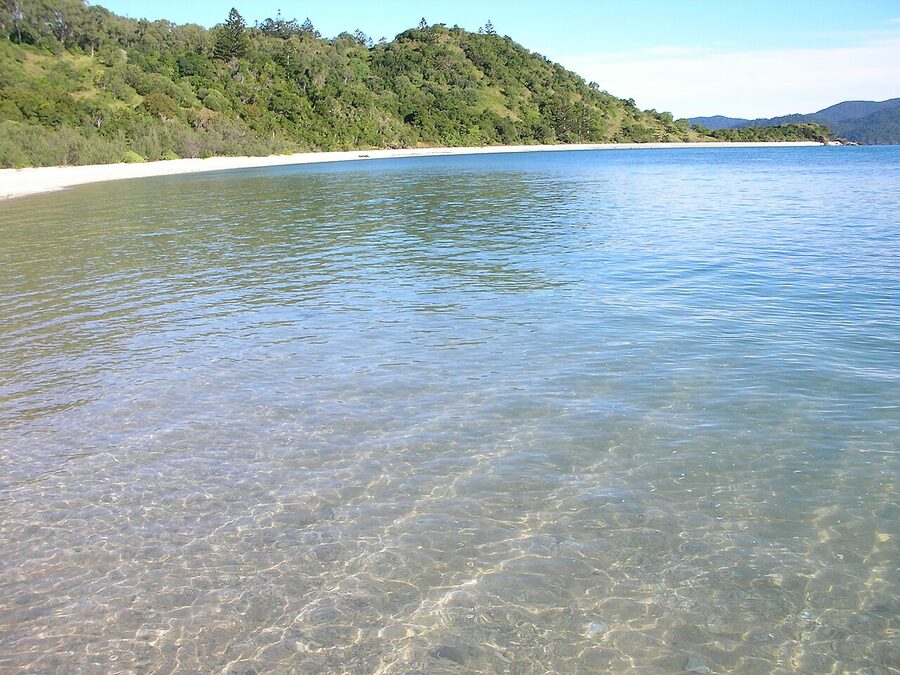Sandy Bay at South Molle Island Whitsundays