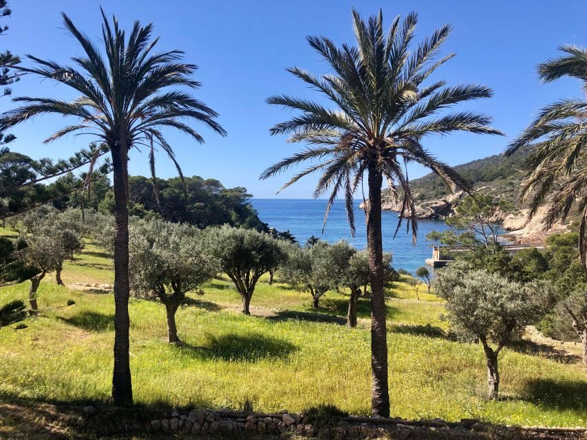 Sant Elm: Guided kayak tour to the island Dragonera - What to Expect on the Day