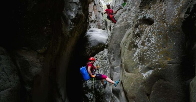 Santa Cruz de Tenerife: Vilaflor Canyoning Tour - Why This Tour Offers Great Value