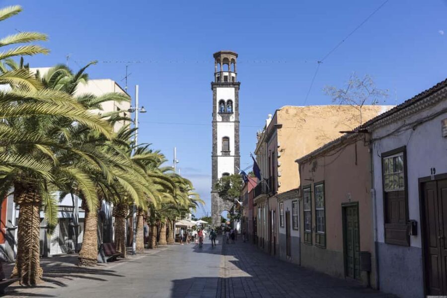 Santa Cruz de Tenerife: walking tour with an expert local guide - Practical Details and Tips for Travelers
