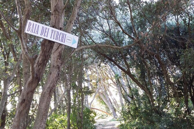 Santa Maria di Leuca by the coast From/To Lecce Otranto Gallipoli - The Logistics: Comfort, Cost, and Convenience