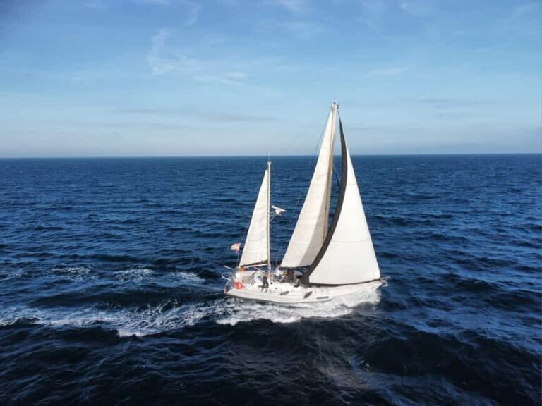 Santa Pola: Sail to Tabarca, snorkel, and enjoy sunset with a tasting - What the Reviews Say