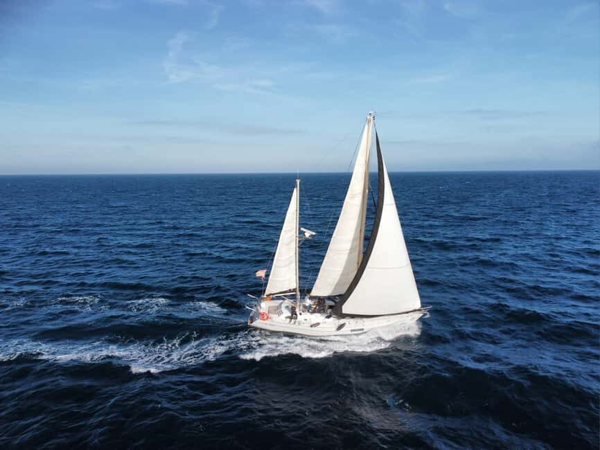 Santa Pola: Sail to Tabarca, snorkel, and enjoy sunset with a tasting - What the Reviews Say