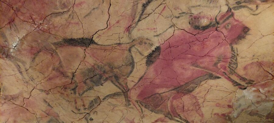 Santander: Western Coast of Cantabria Villages Day Trip - Analyzing the Overall Value