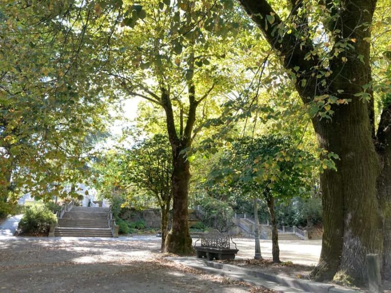 Santiago de Compostela: Urban and Heritage Tour - Who Will Enjoy This Tour?