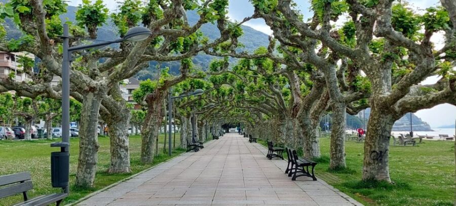 Santoña and Anchovy factory tour from Santander- small group - Introduction to the Santoña and Anchovy Factory Tour
