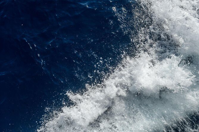 Santorini Caldera Morning Cruise With King Thiras Boat - What Travelers Are Saying