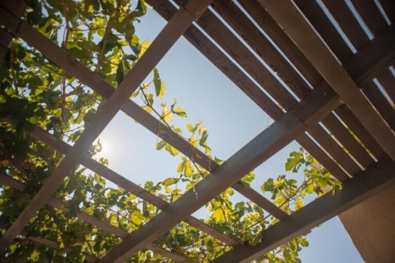 Santorini: Greek Food & Wine Tasting Tour - Exploring the Itinerary in Detail