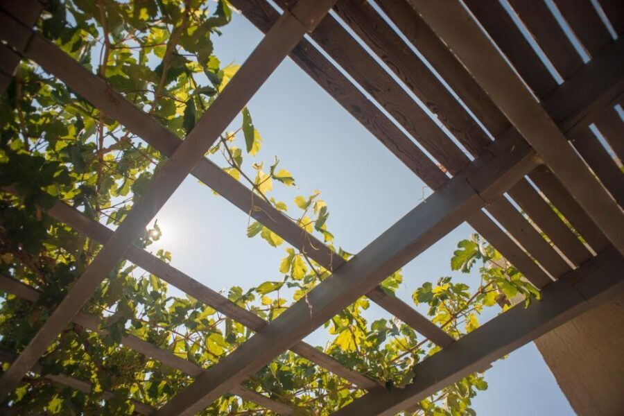 Santorini: Greek Food & Wine Tasting Tour - Exploring the Itinerary in Detail