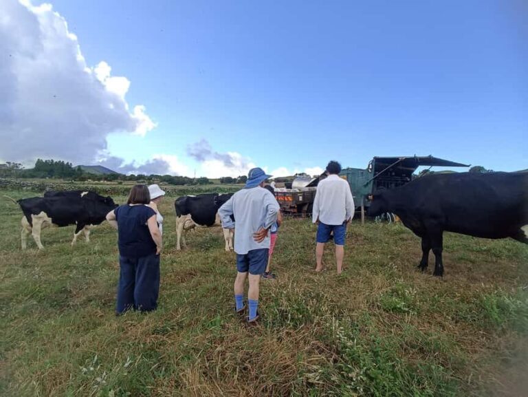 Sao Jorge Cheese Tour - Half day - Who Will Love This Tour?