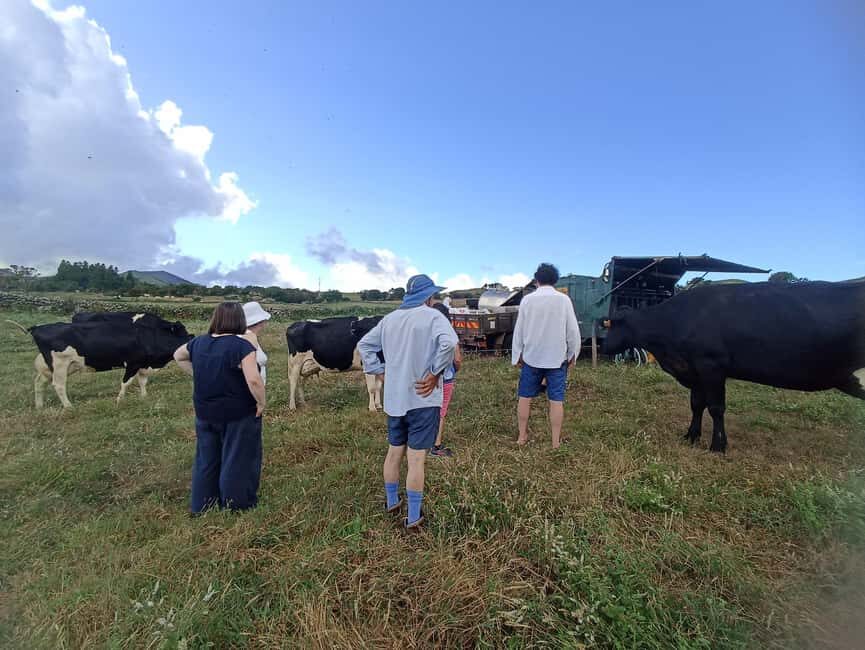 Sao Jorge Cheese Tour - Half day - Who Will Love This Tour?