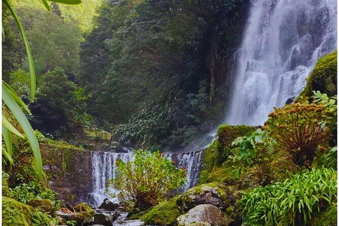 São Miguel: Majestic North Tour (Local Lunch Incl.) - What We Loved About the Tour