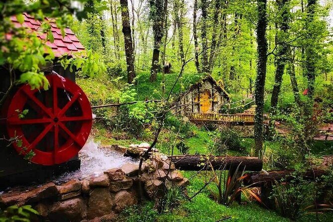 Sapanca Full Day Tour with Lunch - Transportation and Practicalities