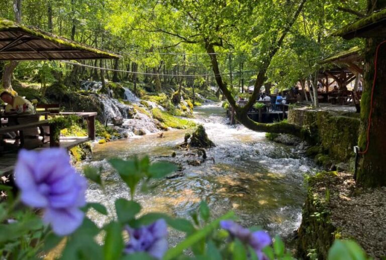 Sarajevo: Jajce Waterfall, Travnik & Pliva Lake Tour - The Itinerary Breakdown: What Youll Experience