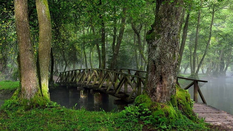 Sarajevo: Vrelo Bosne Nature Park Private Tour - The Springs of the Bosna River