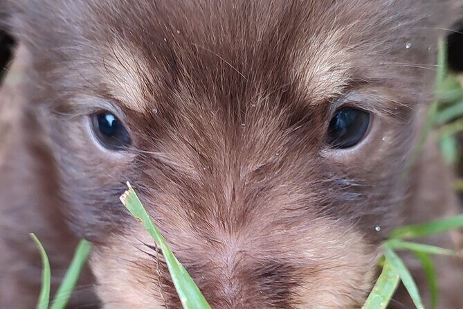 Saranda: Tour in South of Albania (Butrint, Blue Eye, Ksamil) - The Experience: Authentic and Well-Organized