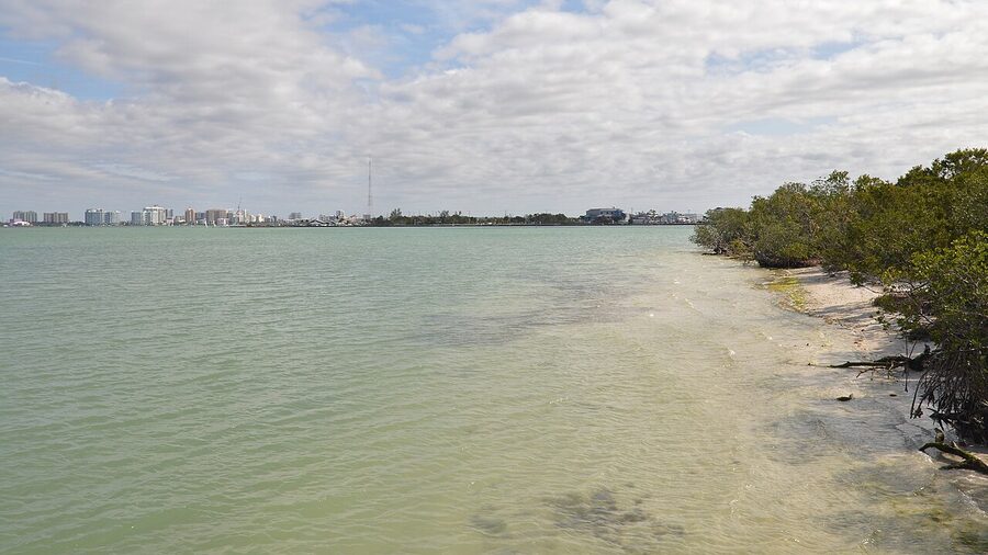 Sarasota Bay viewed from Longboat Key
