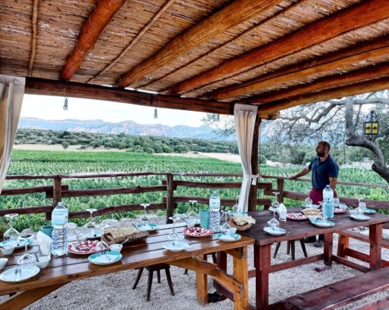 Sardinia: Dorgali Winery Tour with Tasting and Local Guide - Detailed Breakdown of the Experience