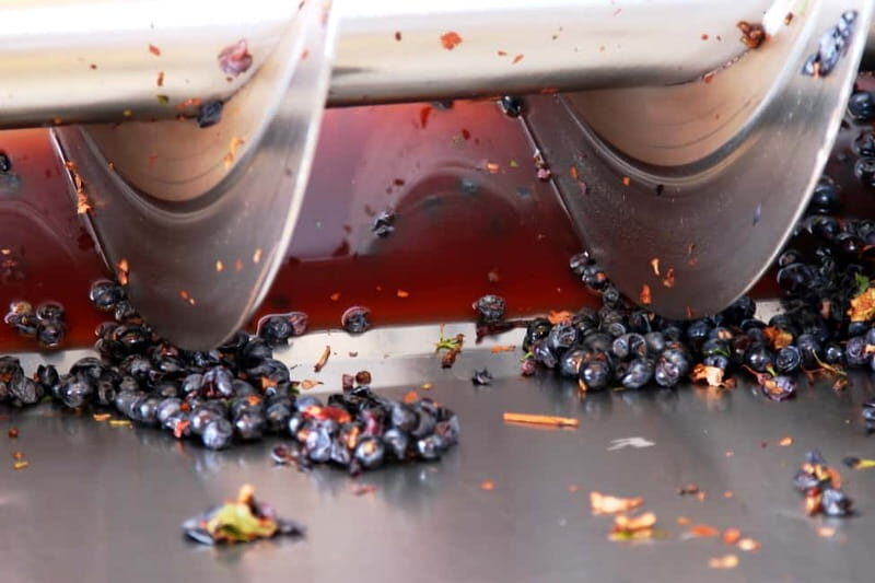 Sardinia: Winery Tour and Wine Tasting Experience - What the Tour Includes