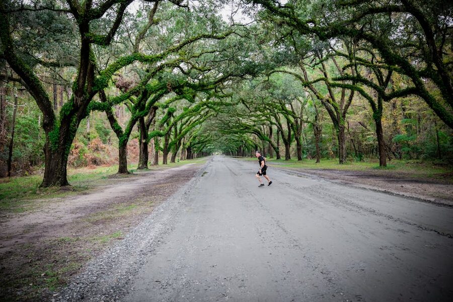 Oak tree canopy road Savannah Georgia quiet evening walk