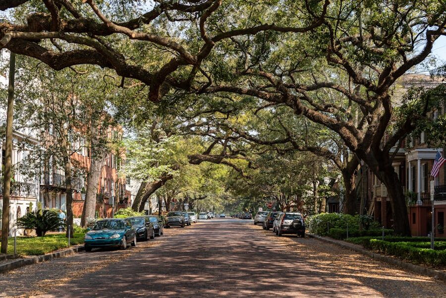 Oak-lined historic street in Savannah Georgia