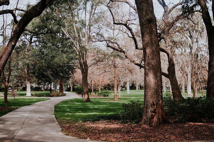 Forsyth Park in Savannah Georgia with oak trees and walkways