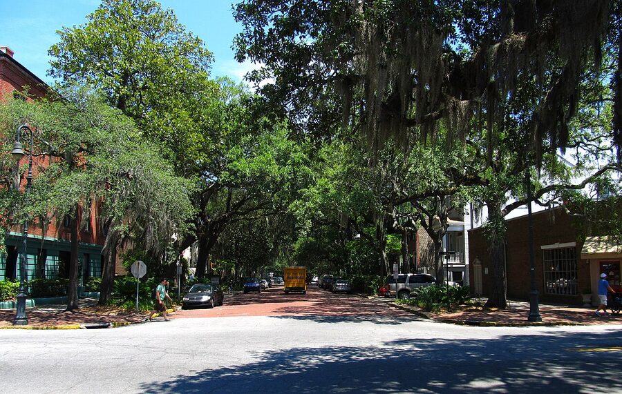 Jones Street at Bull Street in the Savannah Historic District