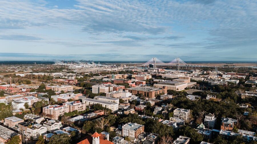 Talmadge Memorial Bridge and Savannah skyline