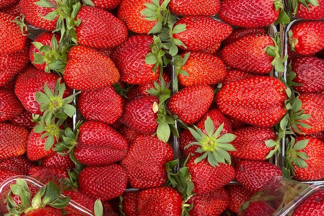 Savor Athens Walk: A Culinary & Travel Writers Insider Food Tour - Authenticity and Guest Feedback