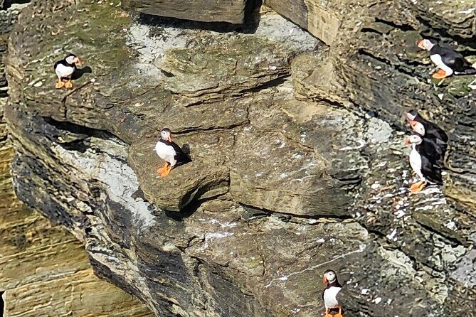 Scapa Tours - What to Expect on the Day