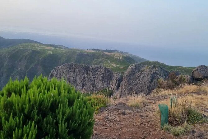 Scenic Hiking and Rum Tasting Experience - Why This Tour Offers Great Value