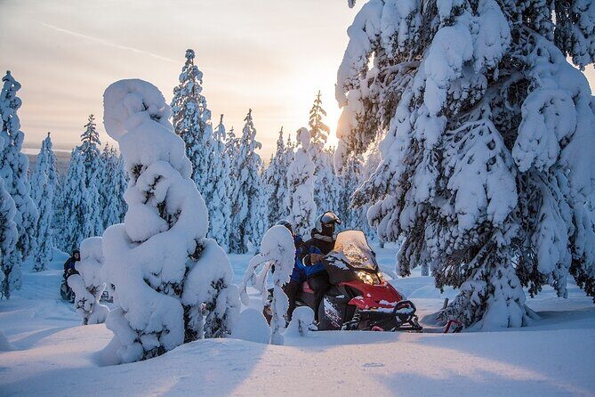 Scenic Snowmobile Safari in Saariselkä - Comfort, Price, and Logistics