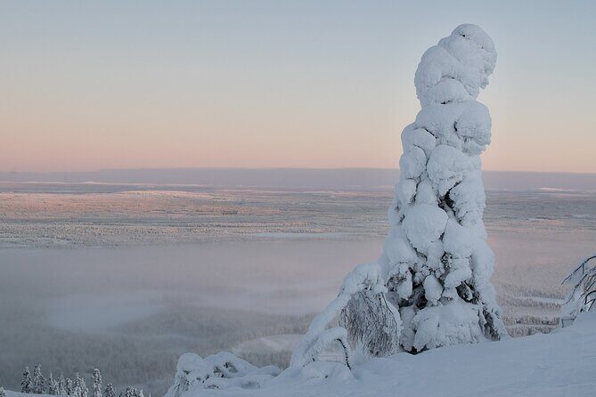 Scenic Snowshoeing on the Top of Pyhä Fell - Why This Tour Offers Great Value