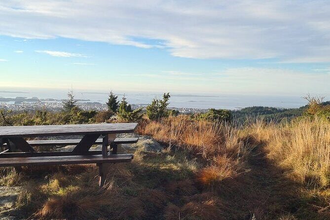 Scenic tour to Steinsfjellet, locals at Kringsjå & Rising Tide - The Sum Up