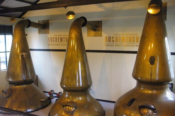 Scottish Whisky Distillery Tour - Tastings and Experiences