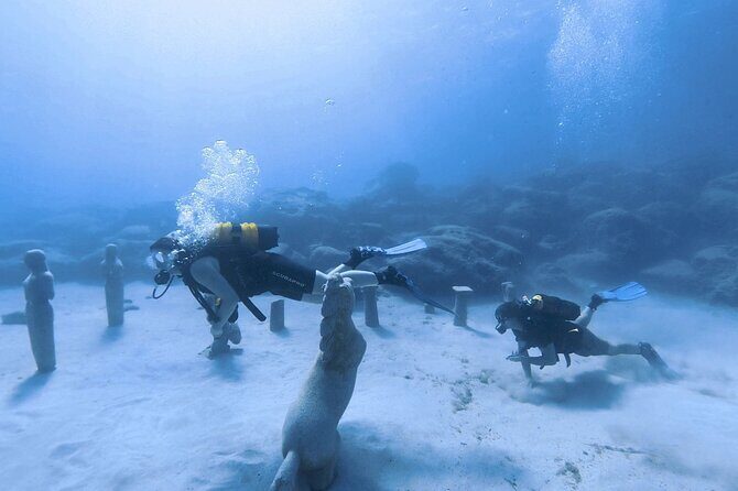 Scuba Diving Experience (10+ Years) AND Free Edited Video - An Authentic Underwater Adventure: What to Expect